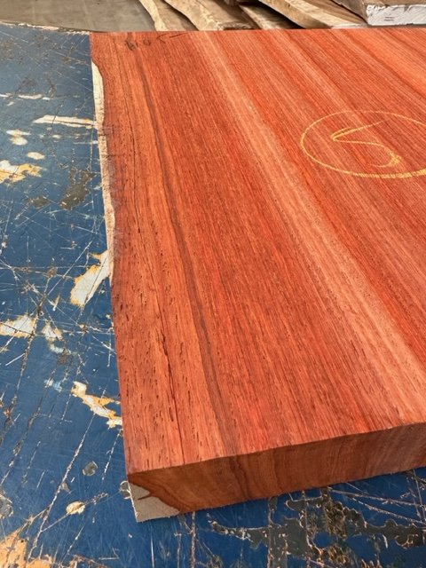 Padauk (Padouk) Bowl Blank TBPAD5 | Tropical Exotic Hardwoods