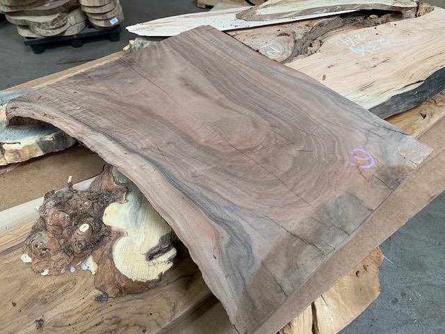 Black Walnut Slab #6 | Tropical Exotic Hardwoods