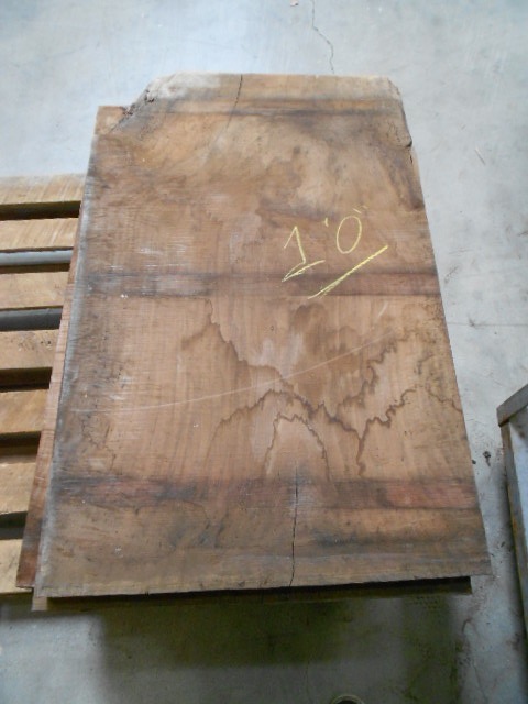 Claro Walnut Slab #1-O Flitch | Tropical Exotic Hardwoods