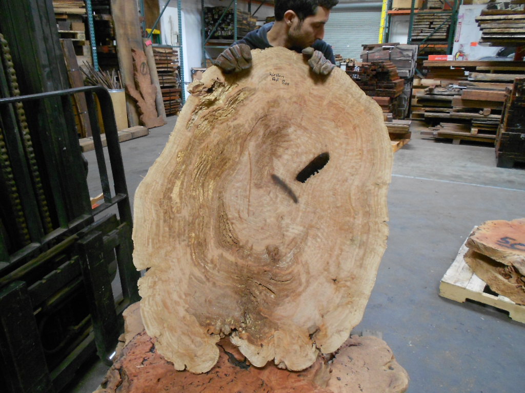 Western Red Box Burl #1 | Tropical Exotic Hardwoods