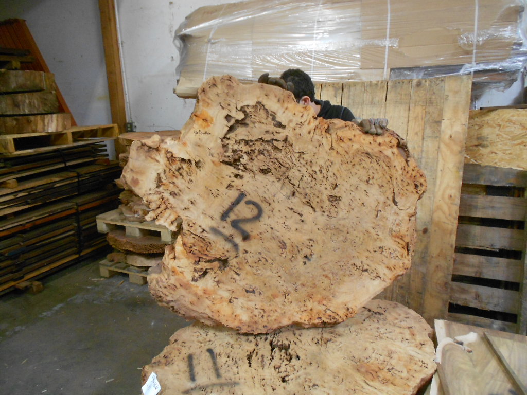 Yellowbox Burl #12 | Tropical Exotic Hardwoods