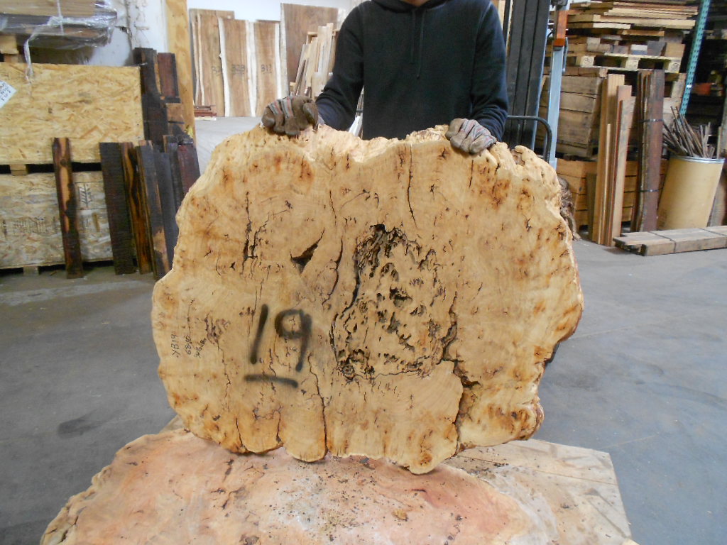 Yellowbox Burl #19 | Tropical Exotic Hardwoods