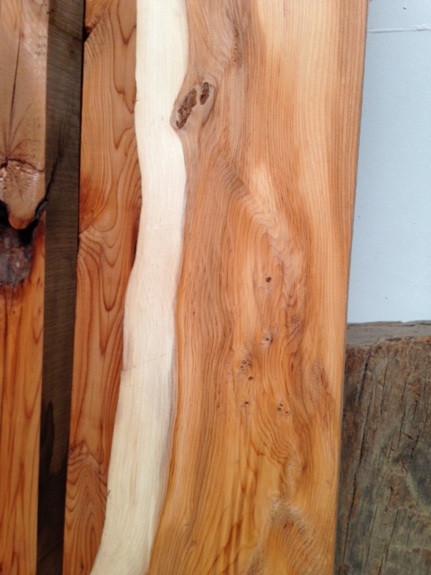 English Yew Slab #6 | Tropical Exotic Hardwoods