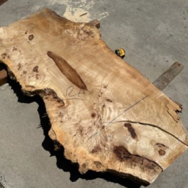 Mappa Burl Slab #12A | Tropical Exotic Hardwoods