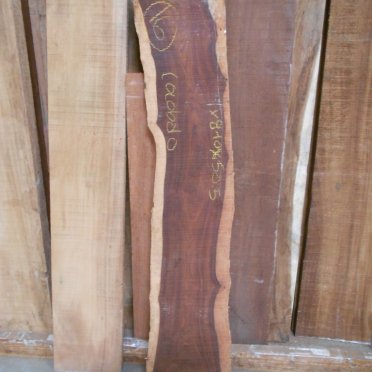 Cocobolo Slab #16 | Tropical Exotic Hardwoods