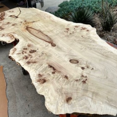 Mappa Burl Slab #11A (SANDED!) | Tropical Exotic Hardwoods