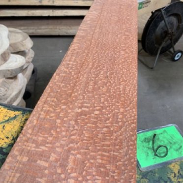 Leopardwood LLEO6 | Tropical Exotic Hardwoods