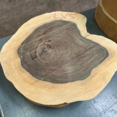 Lignum Vitae "Cookie" Slab LV5 | Tropical Exotic Hardwoods