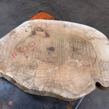 Spalted Mango Slab #100 Round | Tropical Exotic Hardwoods