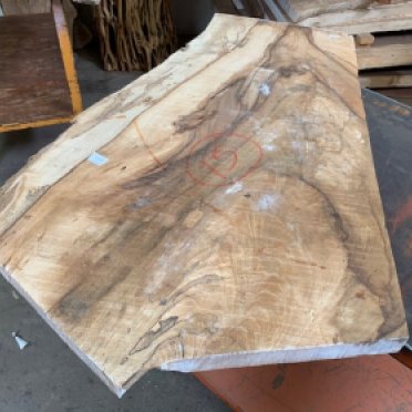 Spalted Mango Slab #15 One Live Edge | Tropical Exotic Hardwoods