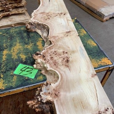 Mappa Burl Slab #43 | Tropical Exotic Hardwoods