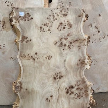 Mappa Burl Slab #50 | Tropical Exotic Hardwoods