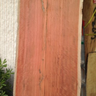 Red Gum Slab #1 (curly) | Tropical Exotic Hardwoods
