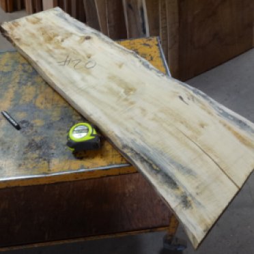 Buckeye Slab #20 | Tropical Exotic Hardwoods